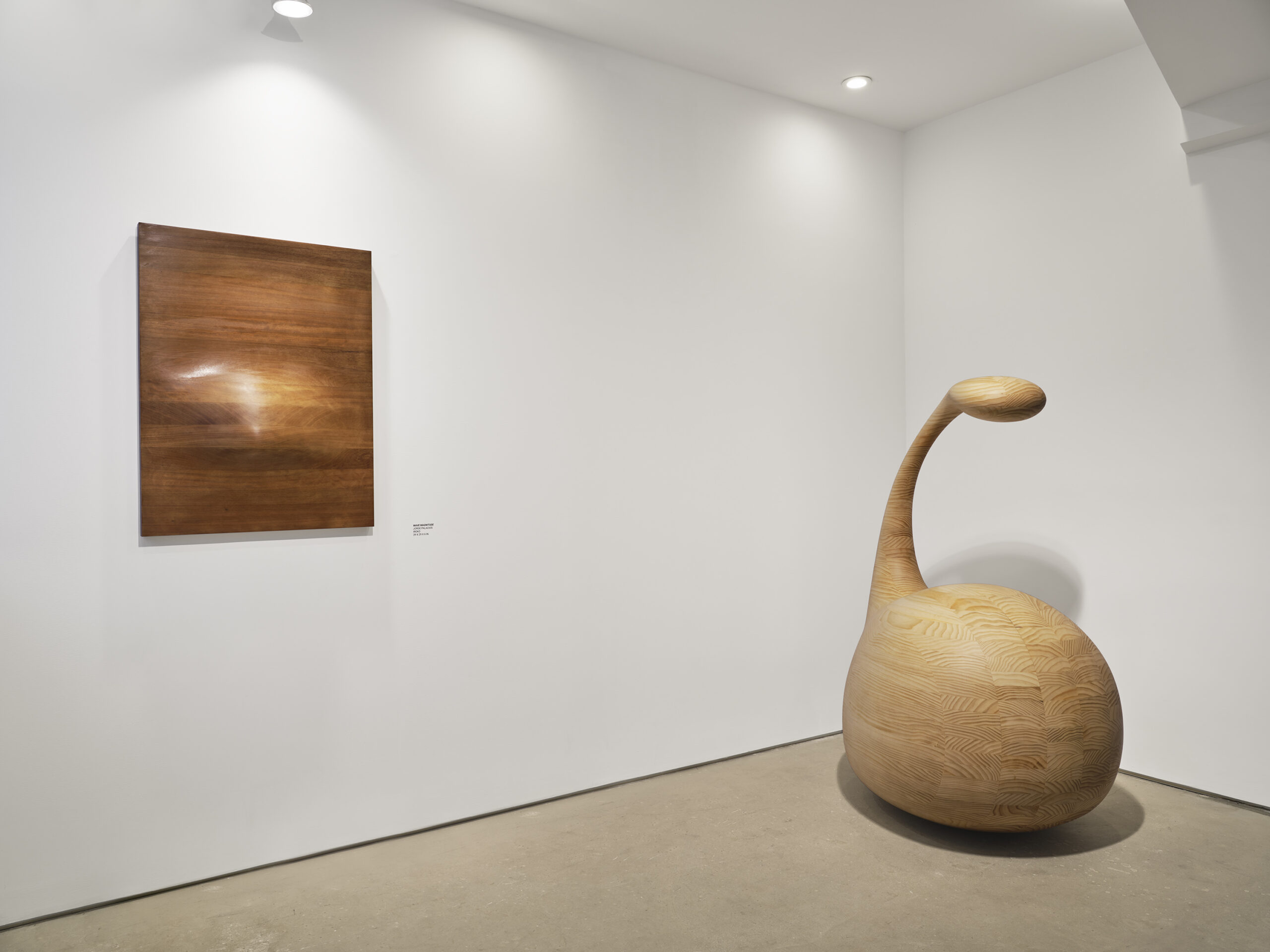 Artist-led Tour of Jorge Palacios, Paradoxes of Cognitive Constructs ...